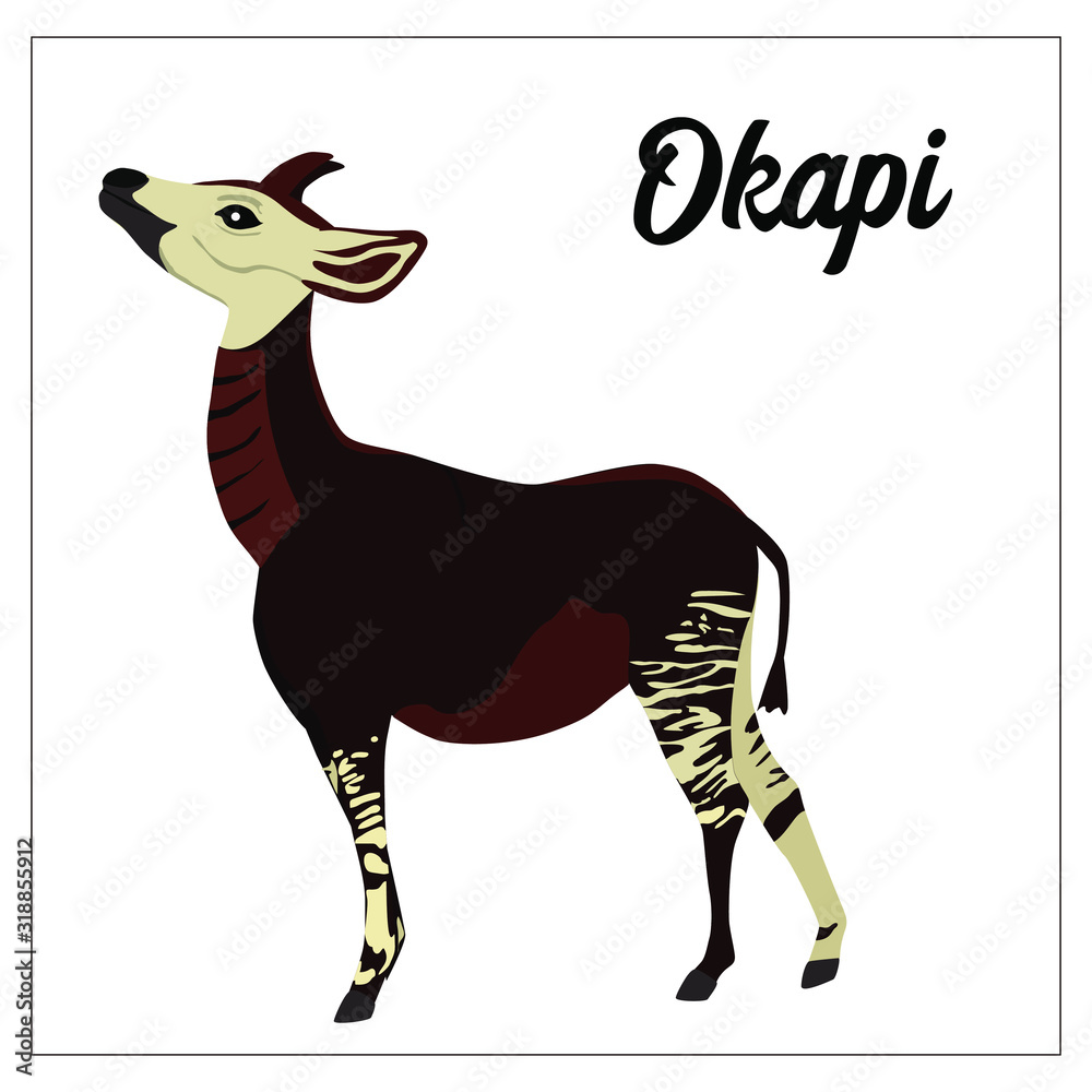 Okapi sketch. Hand drawn vector illustration, label or card. Minimal ...