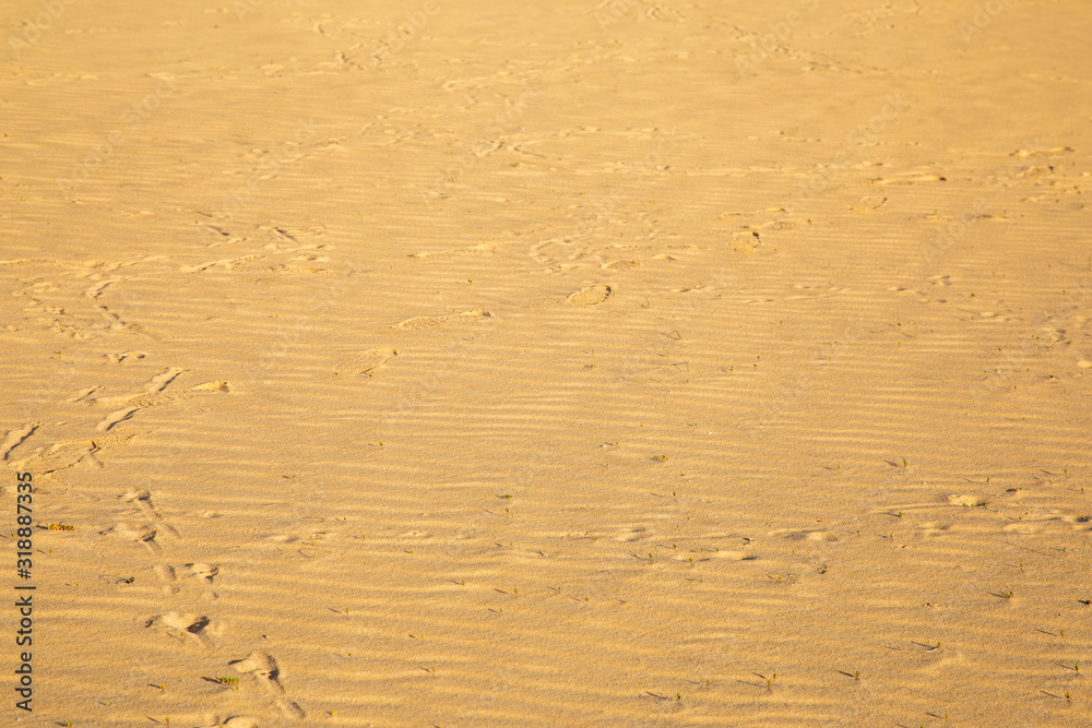 Fine sand texture - Sandy sunny beach for background - Top view - Full ...