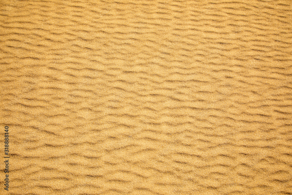 Fine sand texture - Sandy sunny beach for background - Top view - Full ...