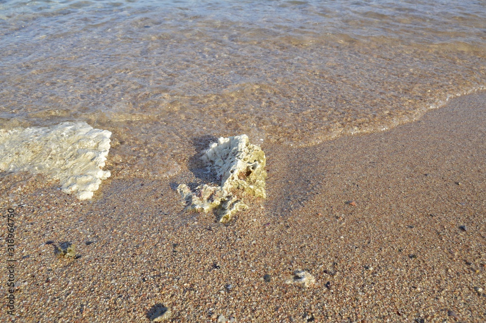 Nabq Bay is a paradise of the mysterious underwater world. This is the ...