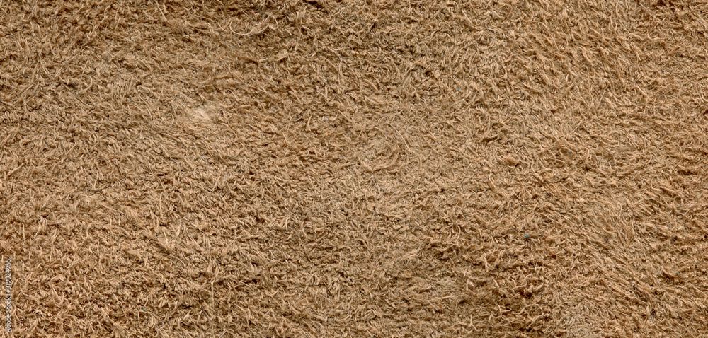 inner skin texture in fibers Stock Photo | Adobe Stock