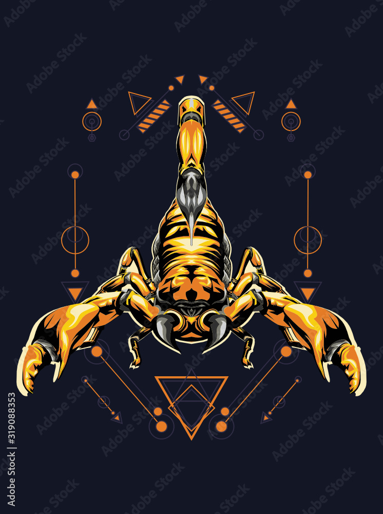 scorpion king zodiac illustrattion in sacred geometry Stock Vector ...