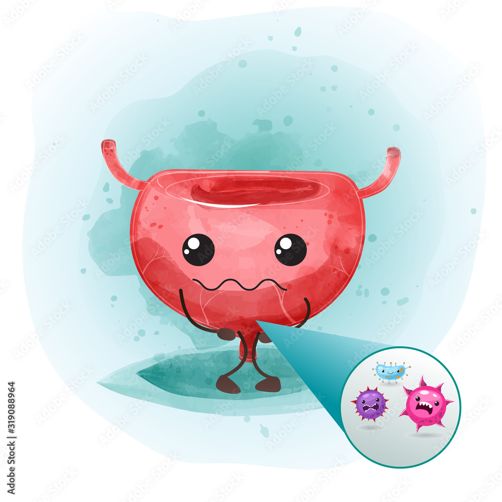 Human bladder cystitis anatomy will walking somewhere. Internal organ ...