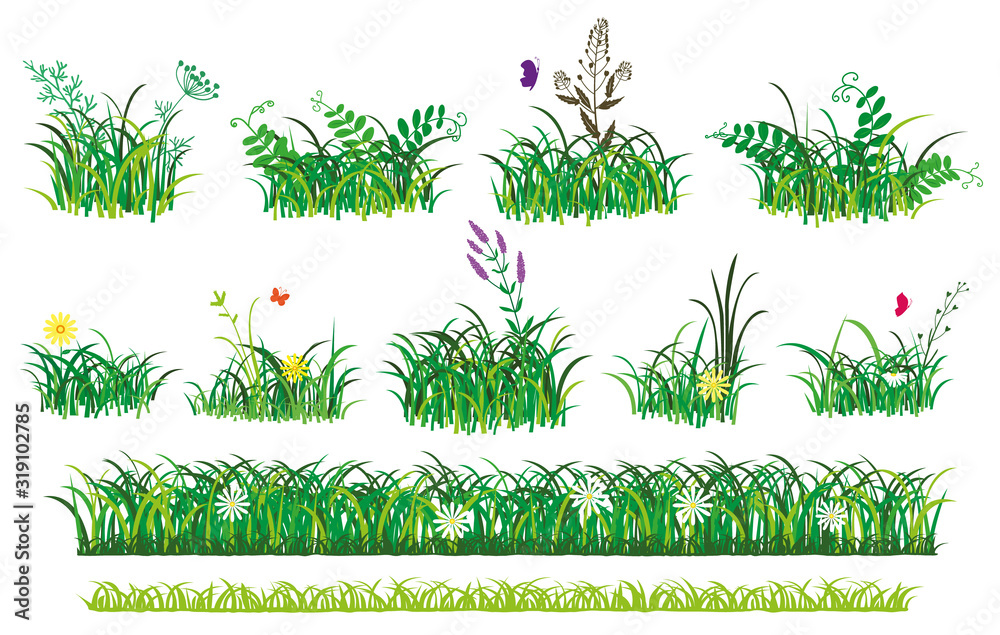Prairie Grass Vector