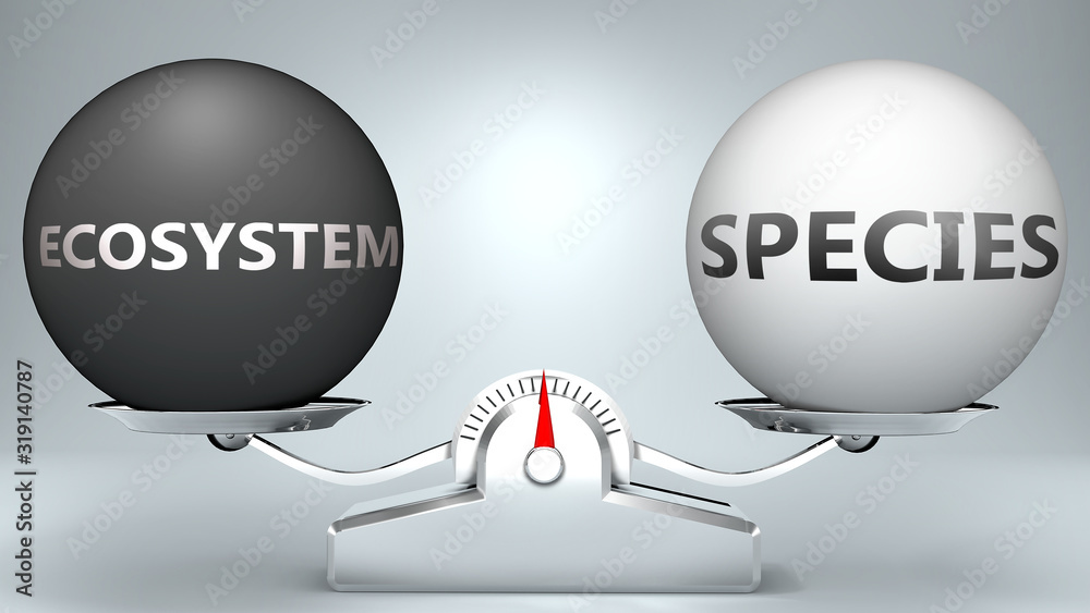 Ecosystem and species in balance - pictured as a scale and words ...