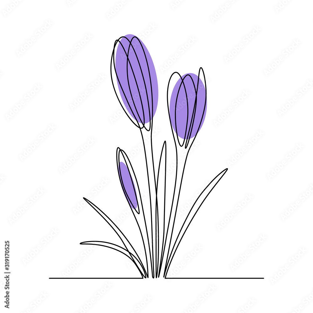 Group of spring crocus flowers in continuous line art drawing style ...