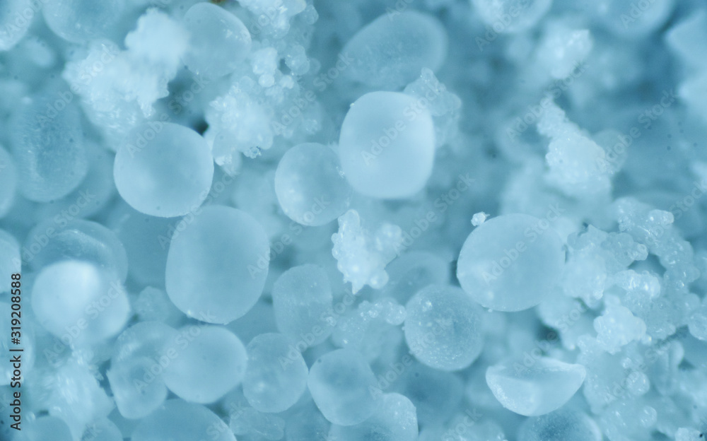 Microscopic photo of different structures of tissues and plant ...