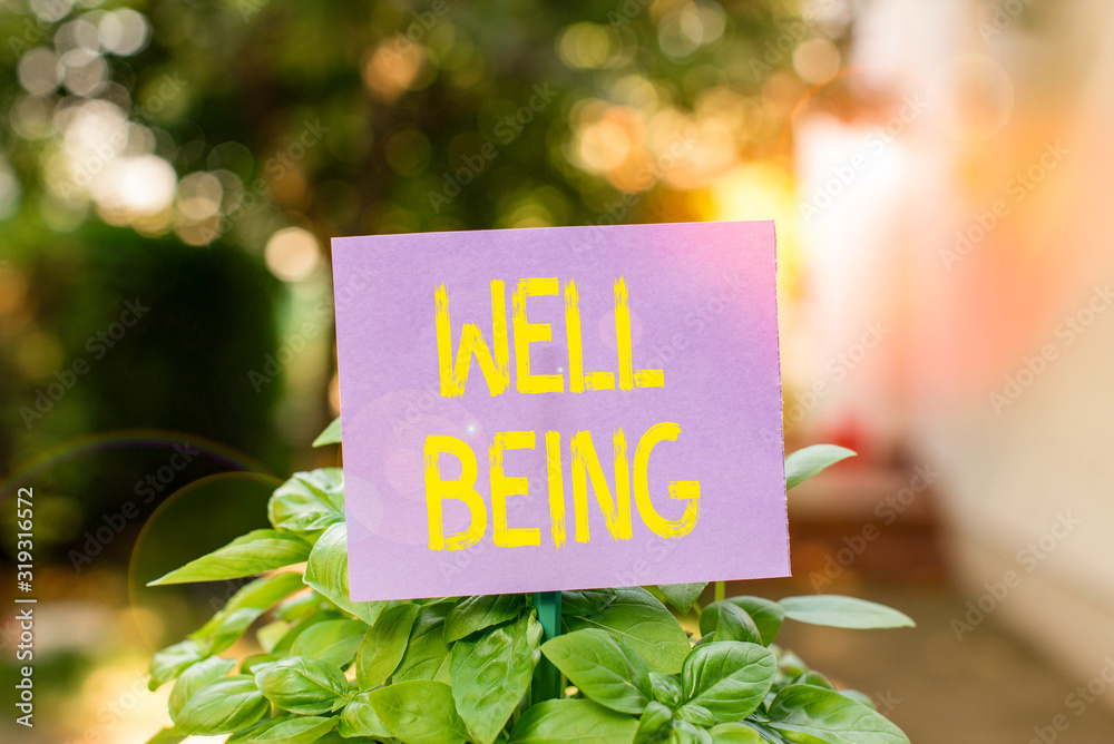 Handwriting text Well Being. Conceptual photo A good or satisfactory ...
