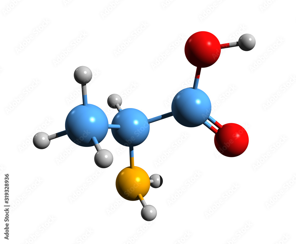 3D image of alanine skeletal formula - molecular chemical structure of 2-aminopropanoic amino ...