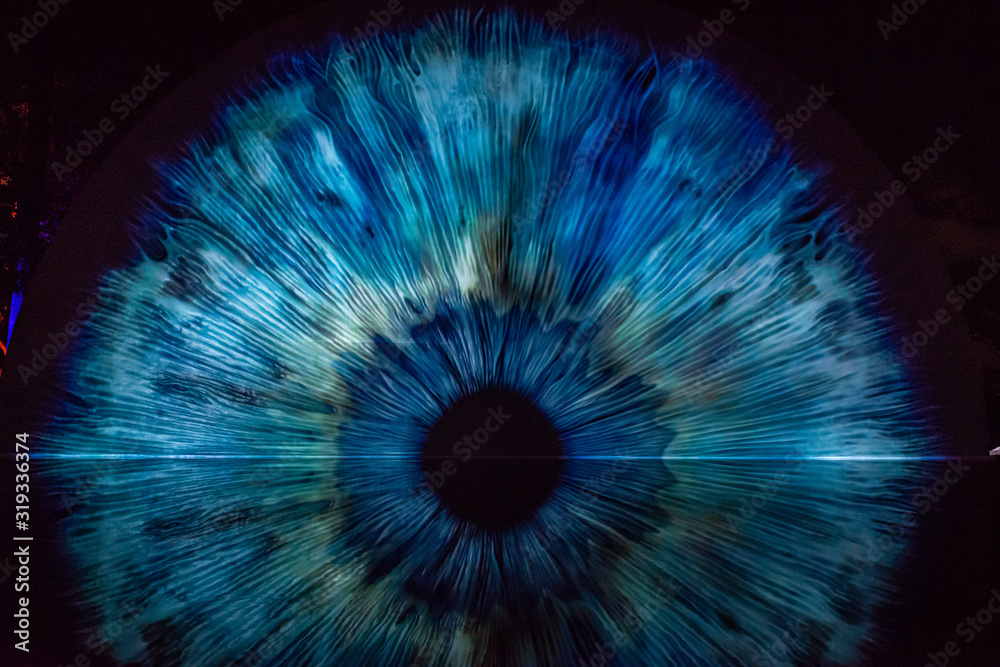 eye shape art structure Stock Illustration | Adobe Stock