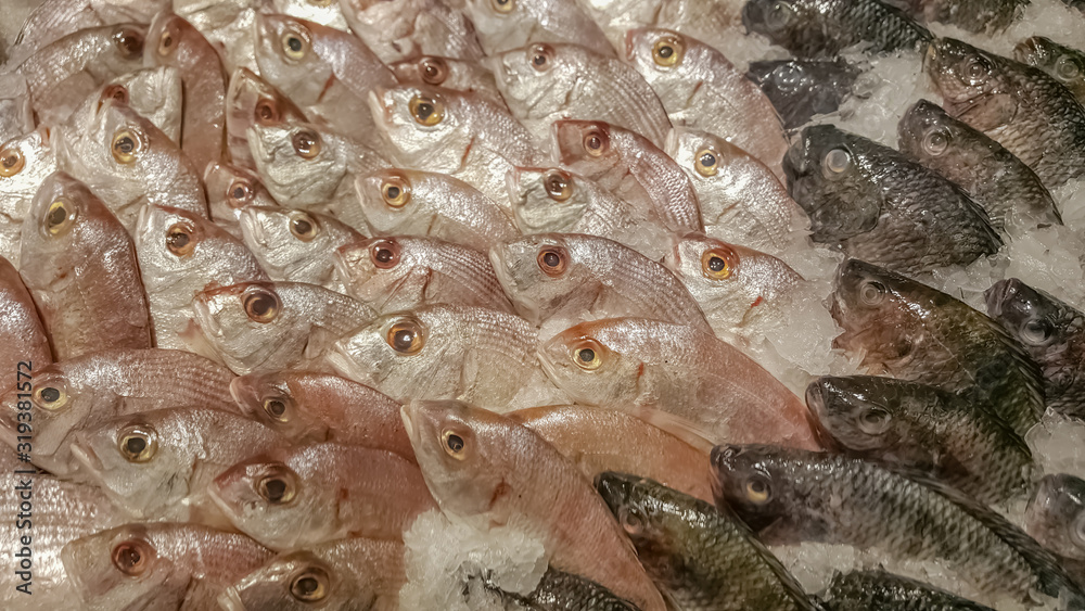 Detailed view and textures at the different fishes on cold ice, on ...