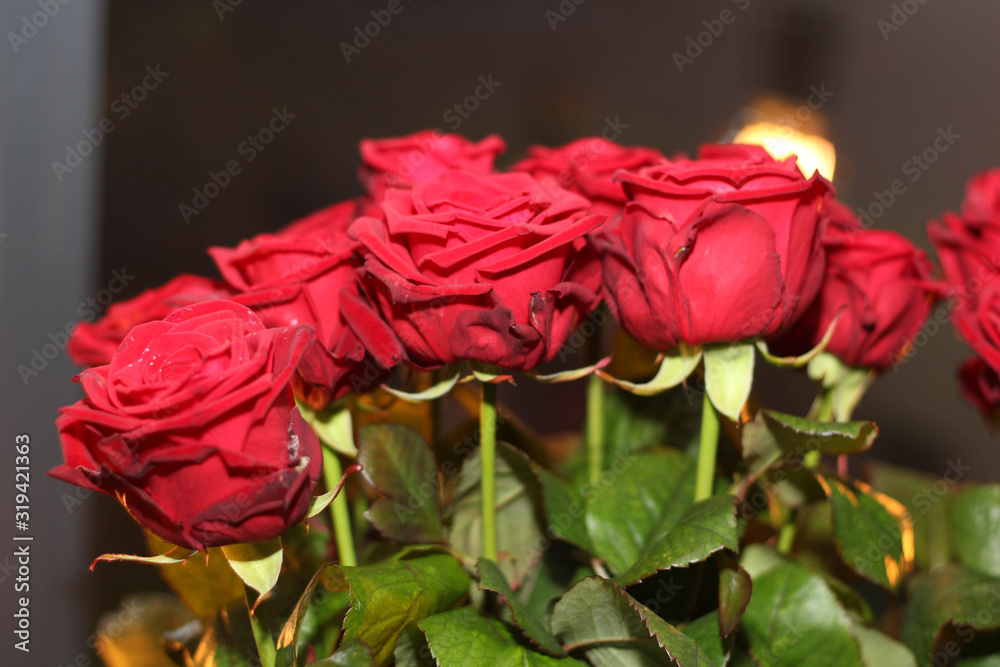 Red roses bouquet in a vase. Red roses are a symbol of love, romance ...