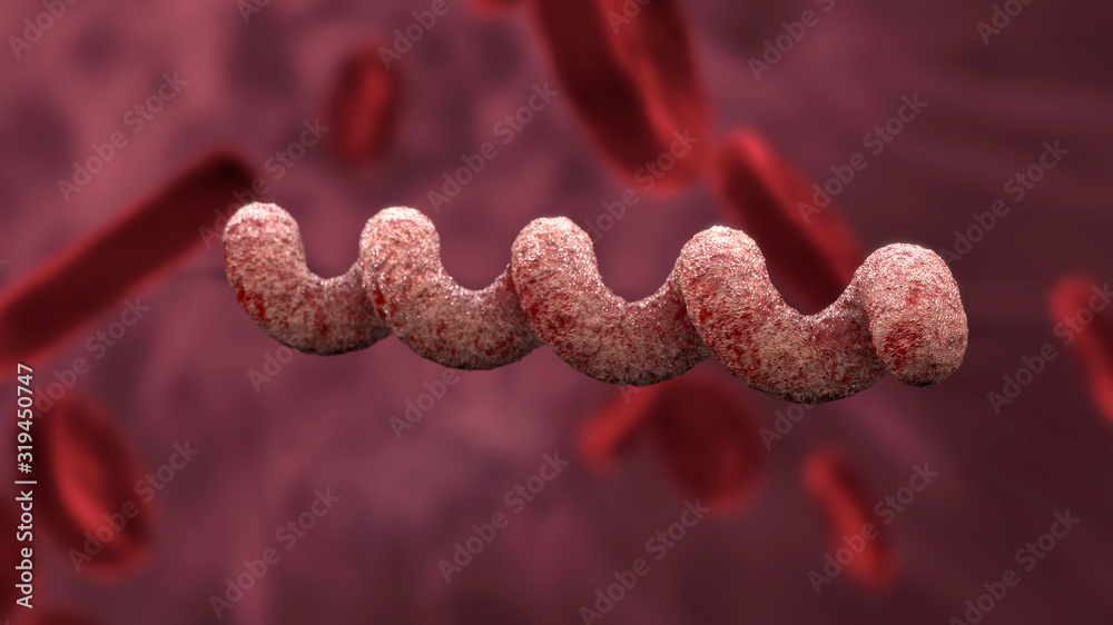 Treponema pallidum bacteria with blood cell background 3d rendering ...