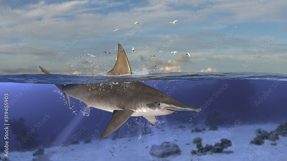 Horizontal view of hammerhead shark diving and jumping while half is ...