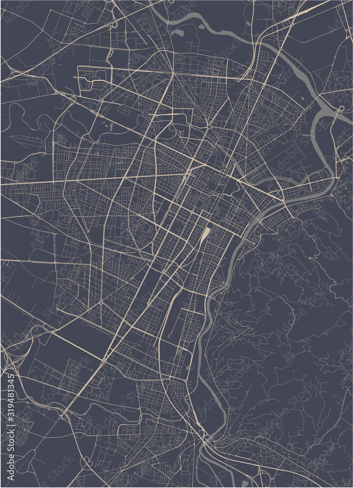 map of the city of Torino, Turin, Italy Stock Vector | Adobe Stock