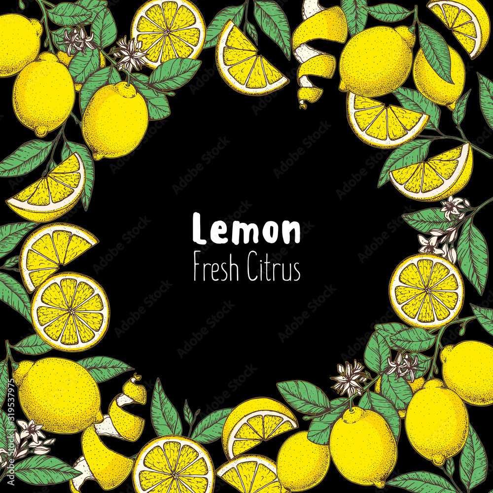 Lemon hand drawn package design. Lemon tree frame template. Vector ...