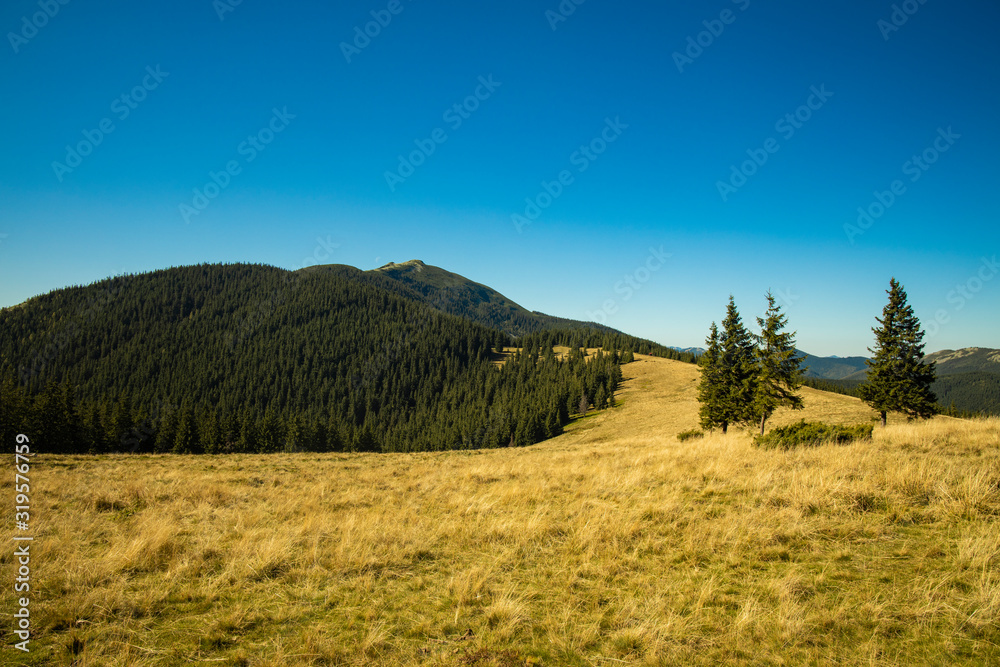 highland plateau mountain forest landscape spring time season clear ...