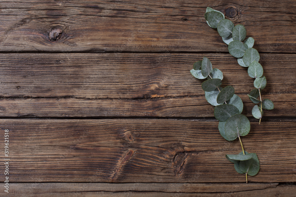 eucalyptus on old dark wooden background Stock Photo | Adobe Stock