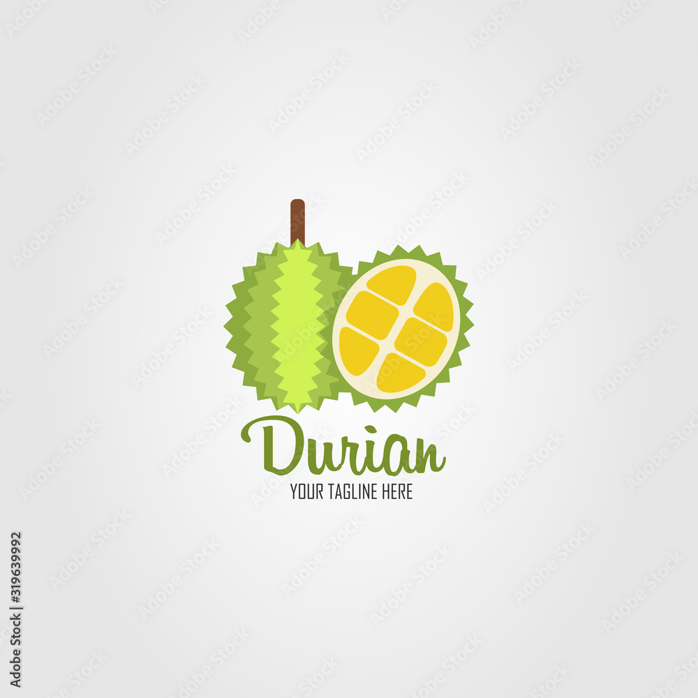 Fresh durian and slices of durian. Flat vector illustration icon, sign ...
