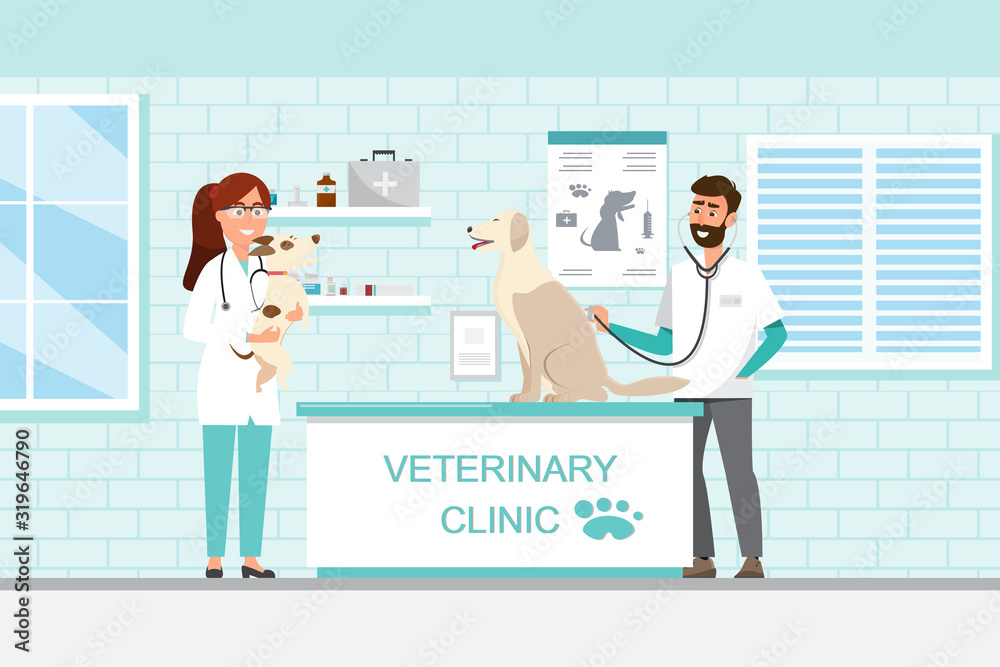 Veterinarian and doctor with dog and cat on counter in vet clinic Stock ...