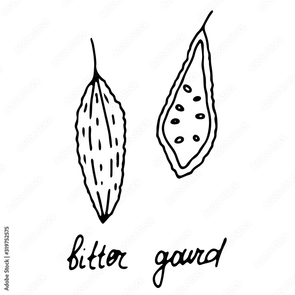 Hand drawn isolated traditional indian food icon. Black outline ...