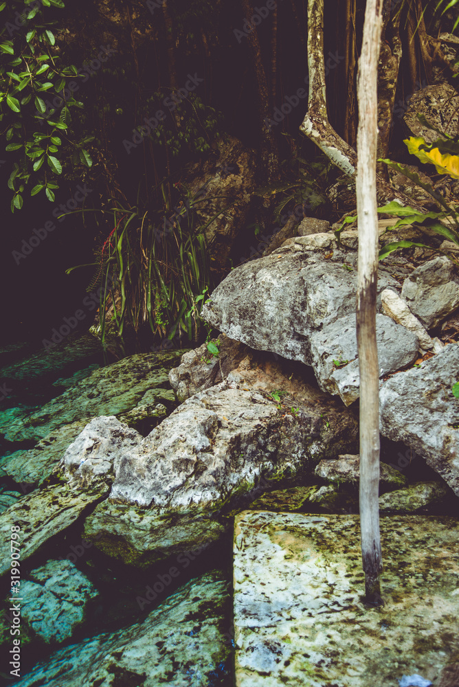 Cenote Cristalino, in Mexico one of the most beautiful in the region ...
