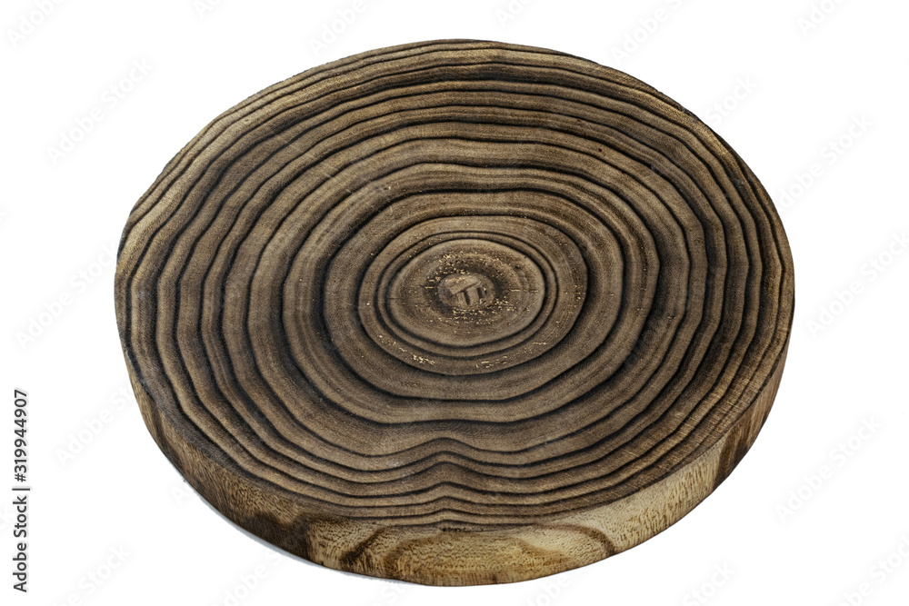 Tree pile. Oak stump log ring isolated on white background. Wood ...