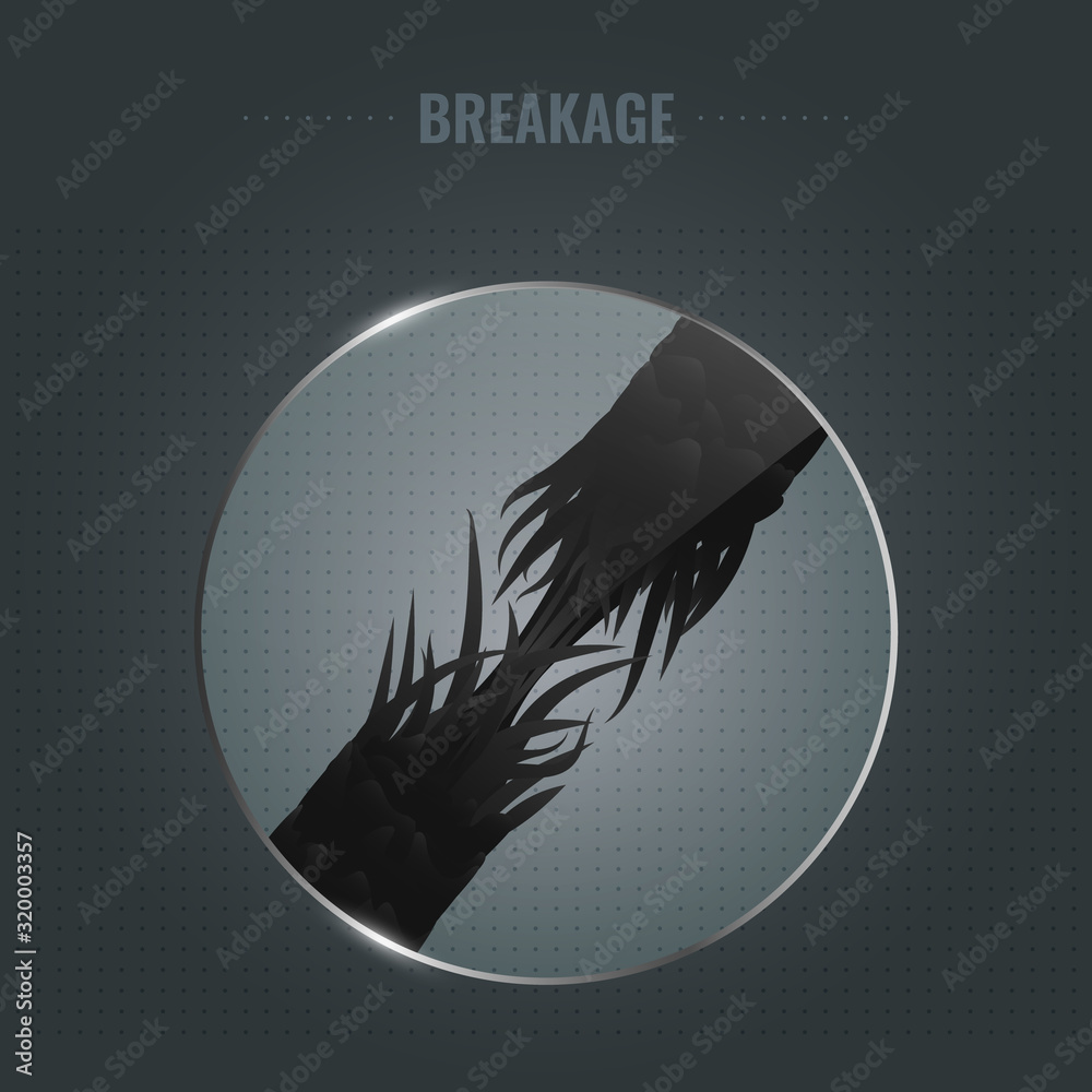 Damaged Hair Under A Microscope