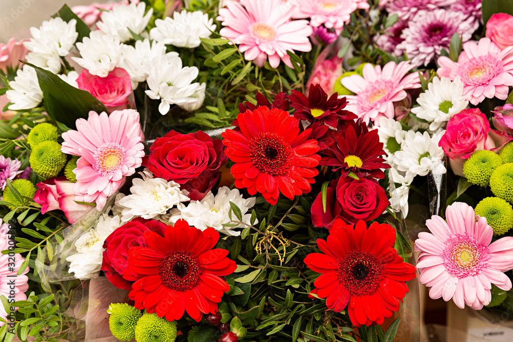 Gerberas rojas y rosas. Stock Photo | Adobe Stock