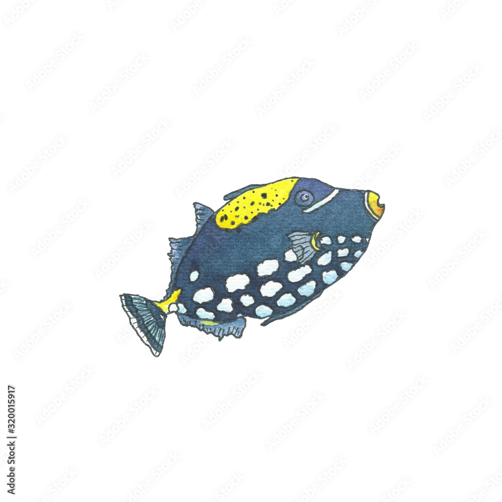 Clown trigger fish. Hand drawing sketch. Black outline on white ...