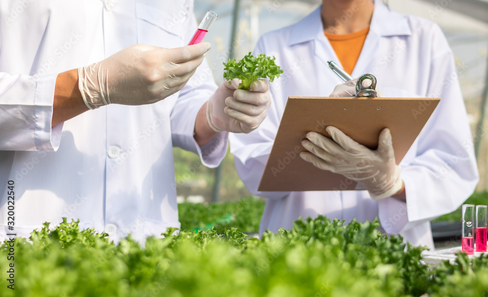 Group of scientist is taking note about experiment results of ...