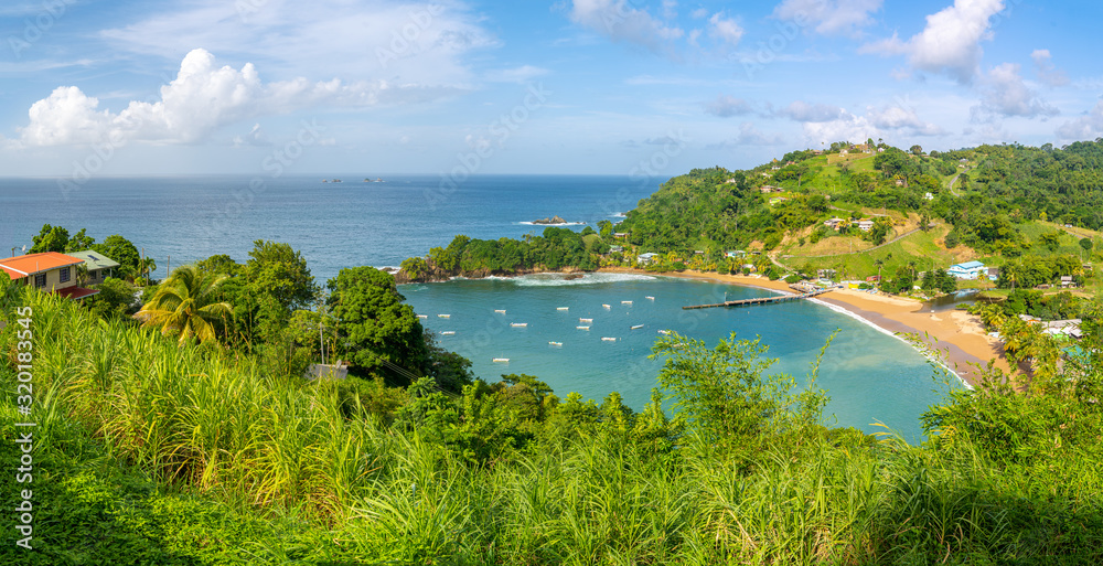 Beautiful remote island of Tobago. Empty wild beaches, palm trees ...