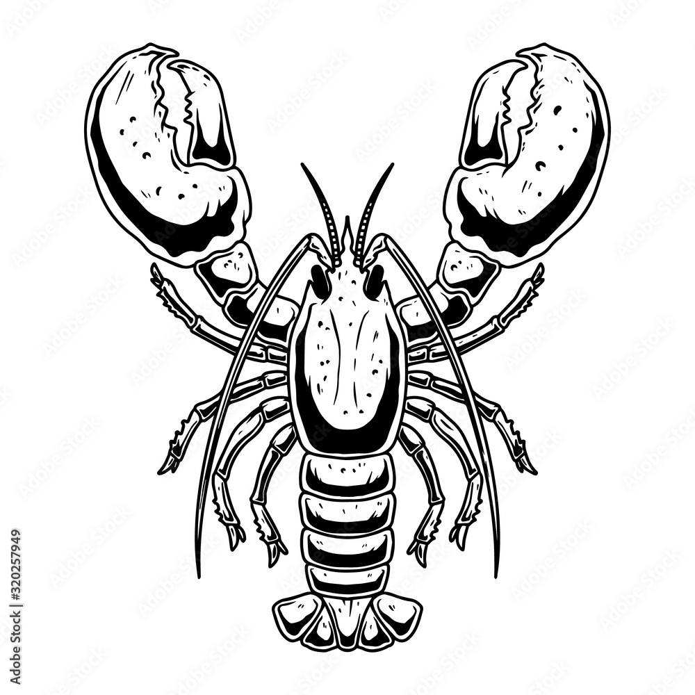 Illustration of lobster in engraving style on white background. Design ...
