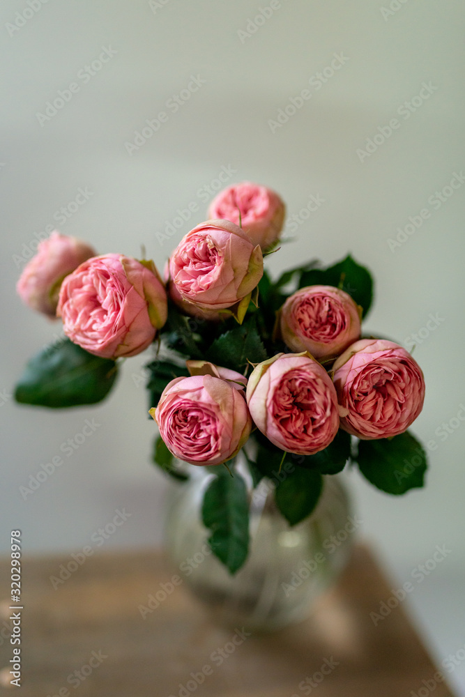 rose color ping the most beautiful flower according to the florist ...