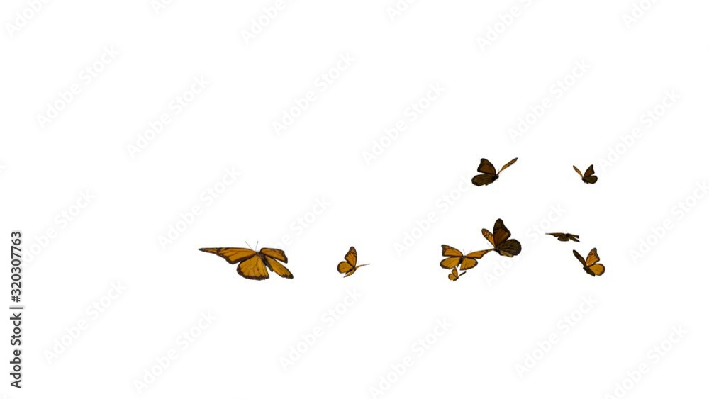 monarch butterflies flying from left to right on white and black ...