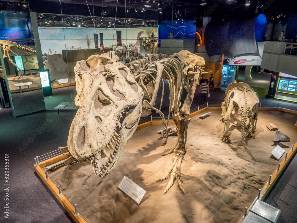 Dinosaur fossil exhibit at the V Royal Tyrrell Museum on July 4, 2015 ...