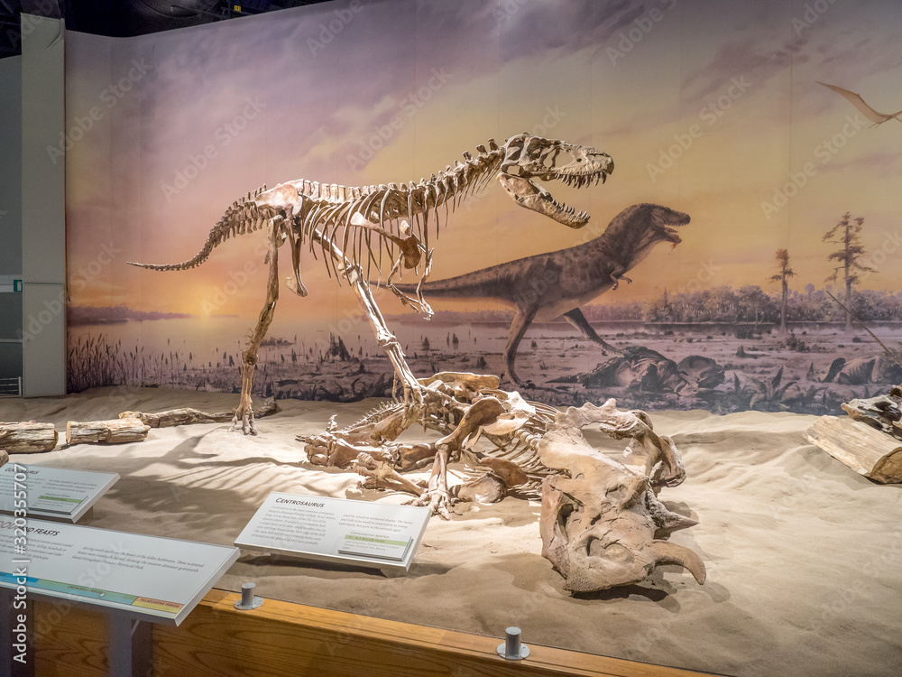 Dinosaur fossil exhibit at the V Royal Tyrrell Museum on July 4, 2015 ...
