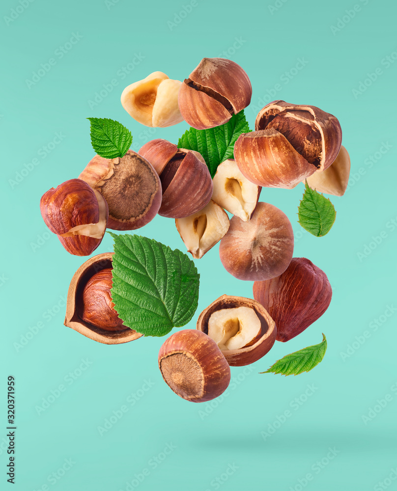 Hazelnuts crushed into pieces, frozen in the air. Stock Photo | Adobe Stock Hazelnuts crushed into pieces, frozen in the air. Stock Photo | Adobe Stock