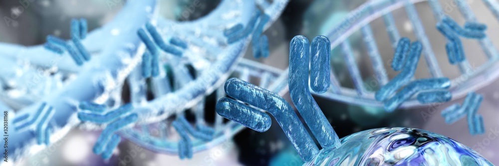 DNA antibody background,Immunoglobulins, Y-shaped protein produced ...