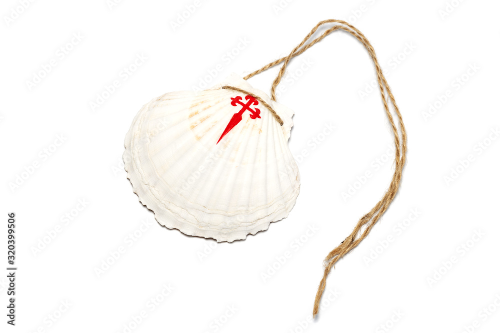 Seashell of St. James with a red cross isolated on white. Symbol of ...