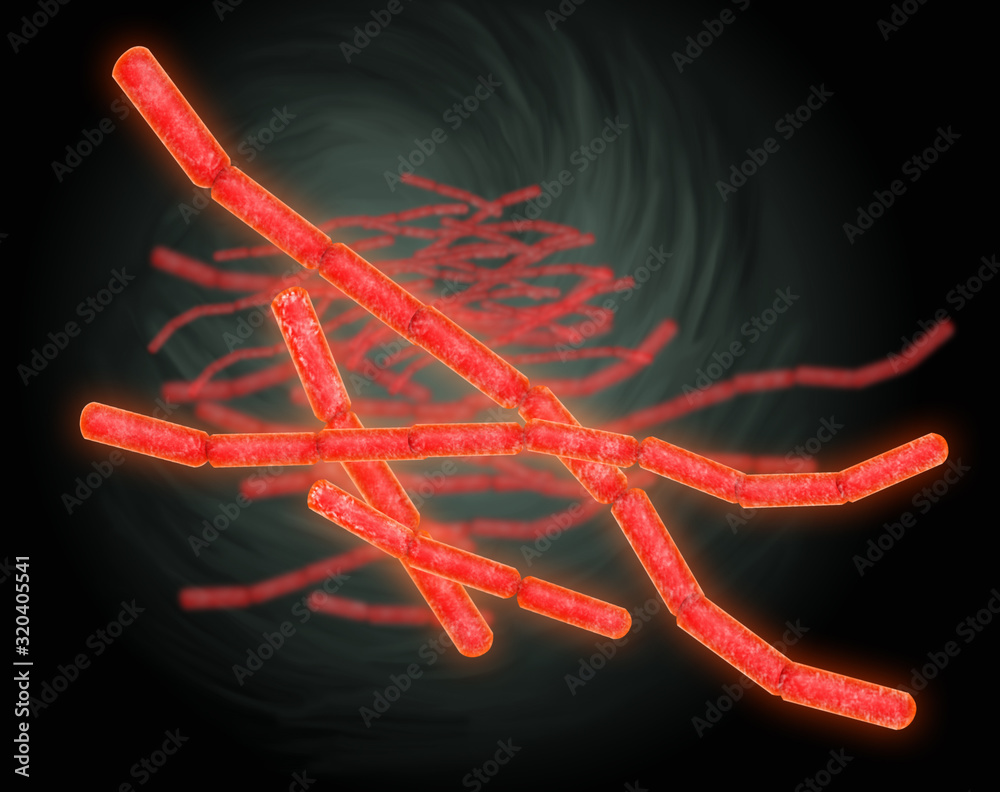 Bacillus cereus illustration Stock Illustration | Adobe Stock