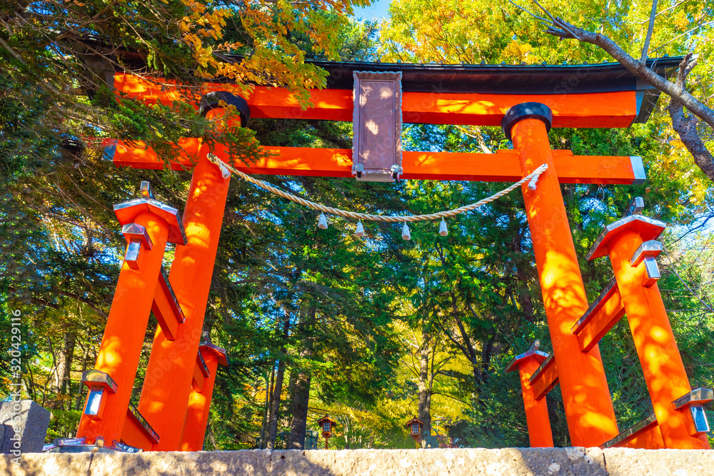 Japan. Red arches in the city of Fujiyoshida. Red Warota at Arakurayama ...