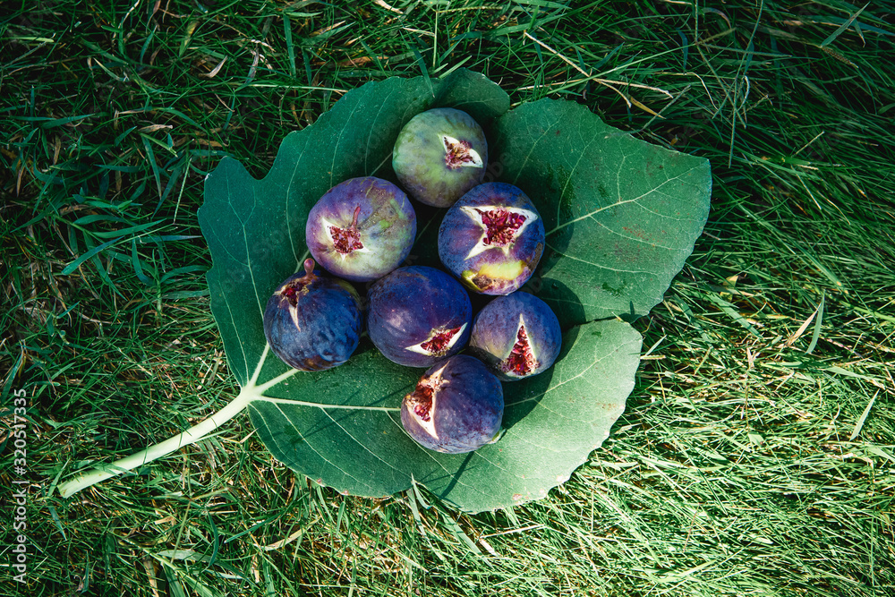 Ripe figs on a Fig leaf. Red cores of ripe figs Stock Photo | Adobe Stock