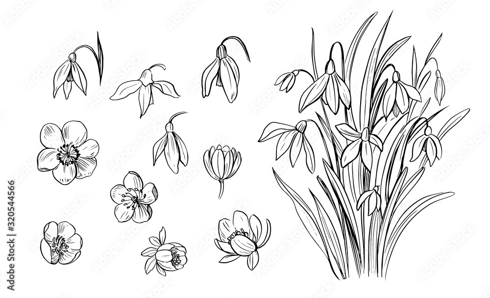 Set of outline spring flowers and plants. Decorative floral elements ...