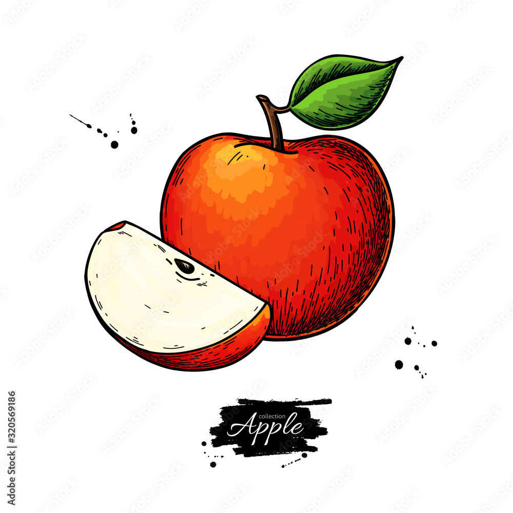 Apple vector drawing. Hand drawn fruit with leaf and slice. Summer food ...