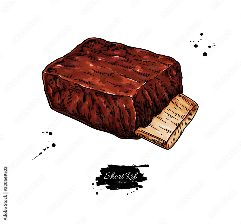 Short rib vector drawing. Beef, pork or lamb meat hand drawn sketch ...