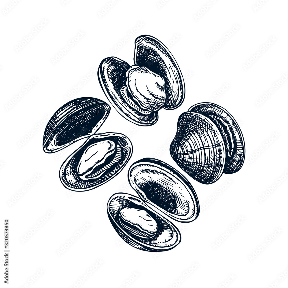 Hand drawn cooked oyster shells frame design. Vector package, banner ...