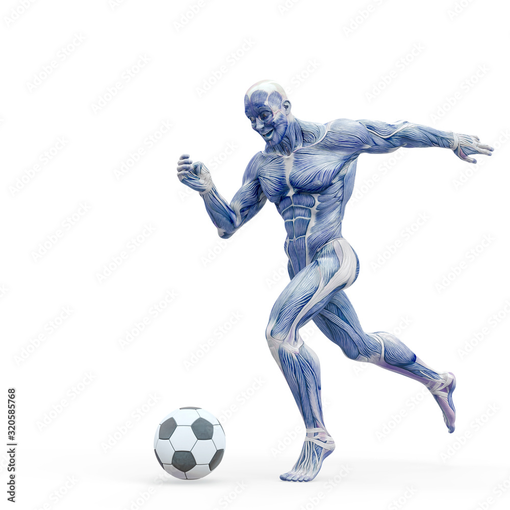 muscleman anatomy heroic body playing football in white background ...