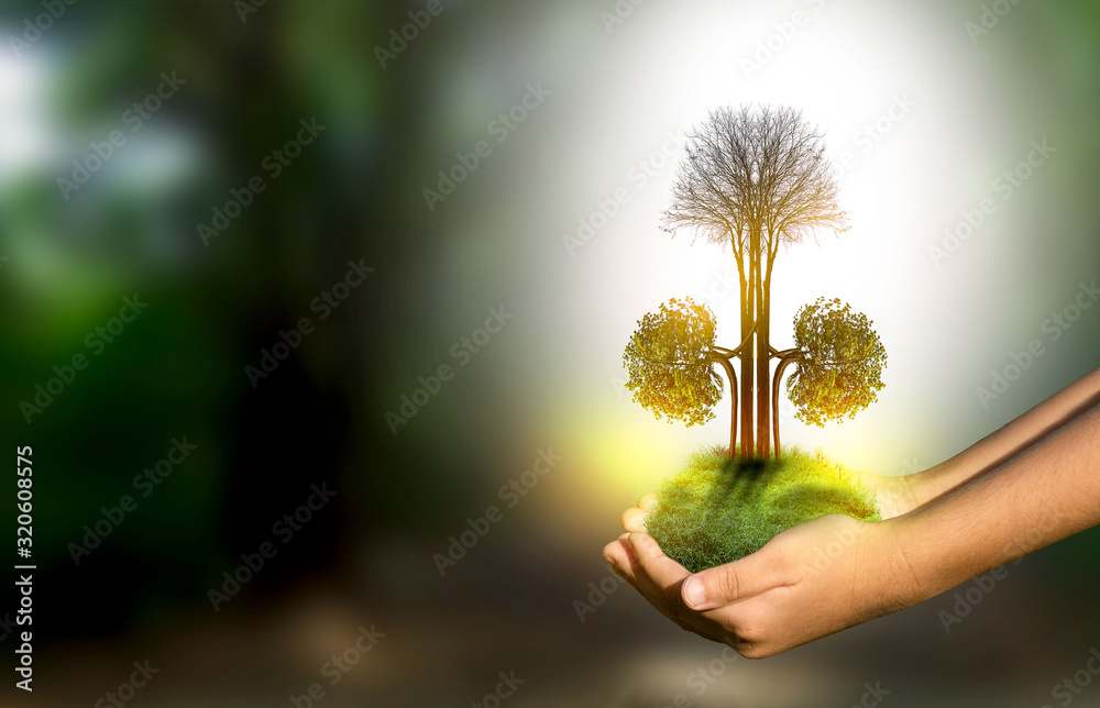 The tree (kidney) is a 3D illustration of the medical environmental ...