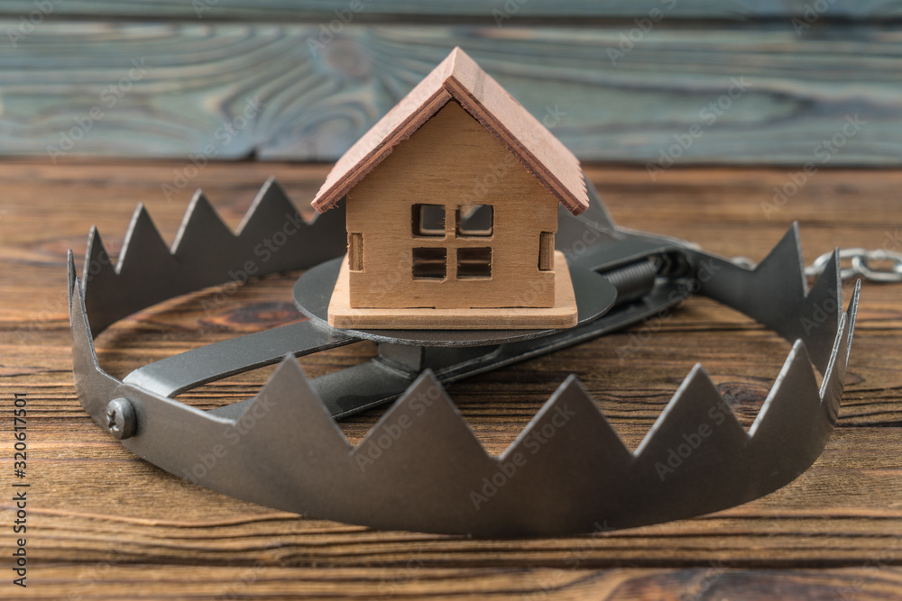 Big trap house! Security and alarm concept. Home protection Stock Photo ...